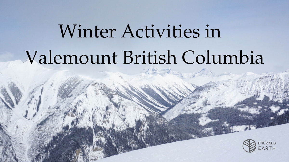 Things to do in Valemount BC in the Winter Season – Emerald Earth ...