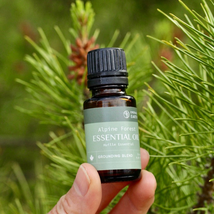 Essential Oil Blend : Alpine Forest Aromatherapy – Emerald Earth ...